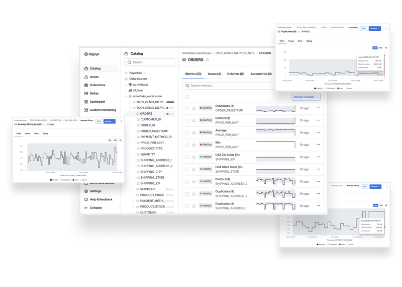 Enterprise Data Monitoring Platform | Bigeye